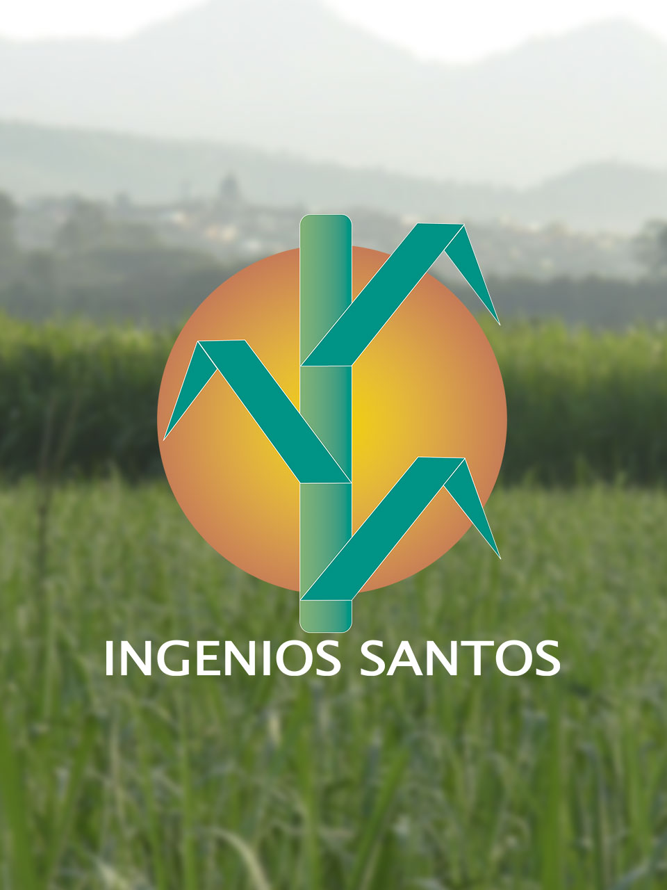 Azúcares y Melaza, descripción, presentaciones – Ingenios Santos