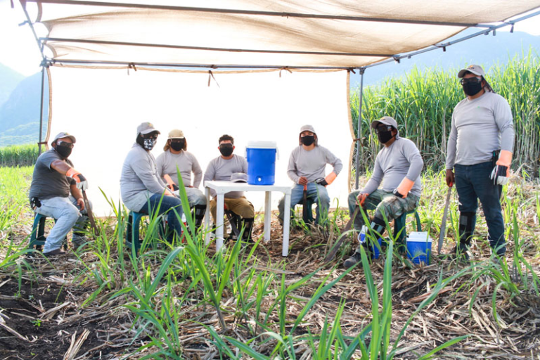 Ingenios Santos, primer productor de azúcar en América que obtiene la certificación BONSUCRO con ...